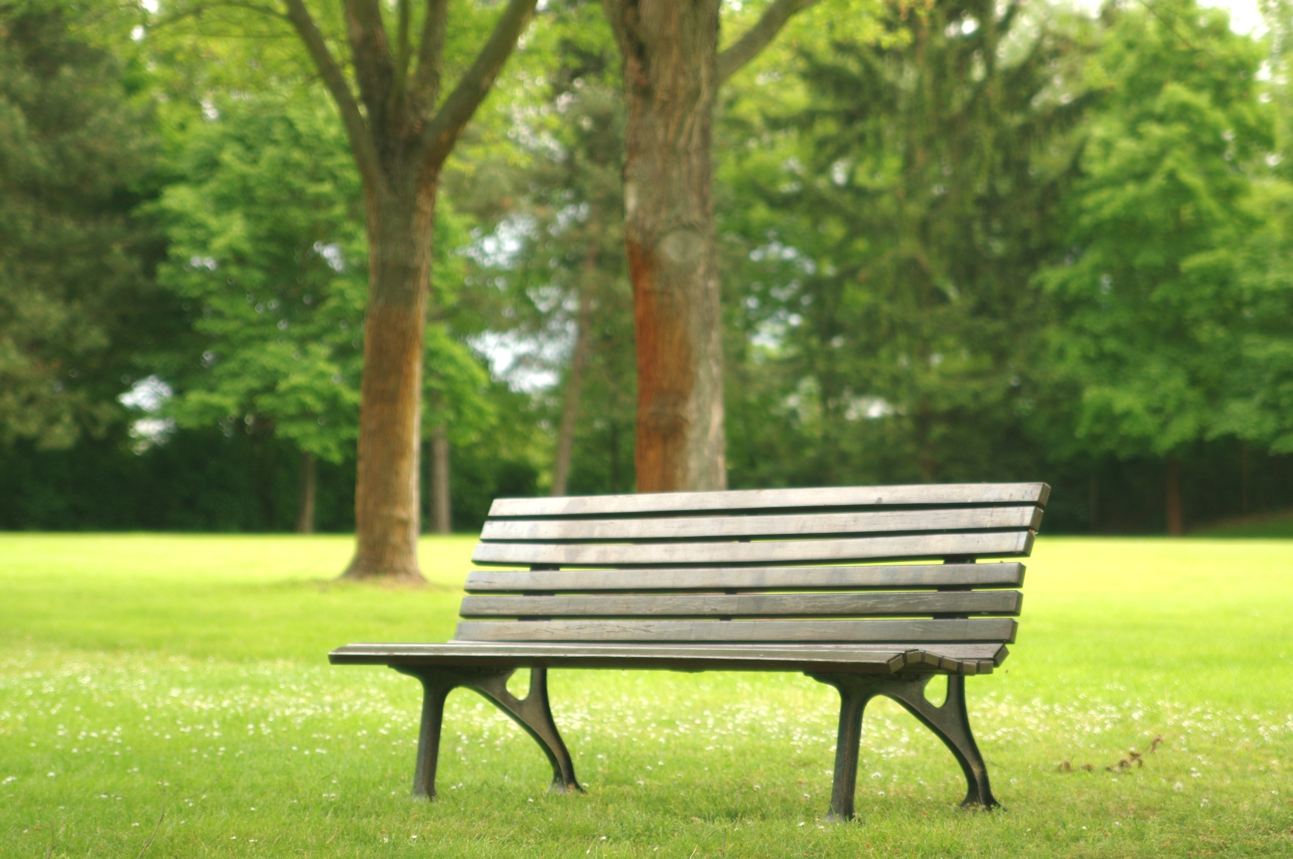 Das Bad - StrandBad - Bäderwelt entdecken - Bäder Frankenthal
